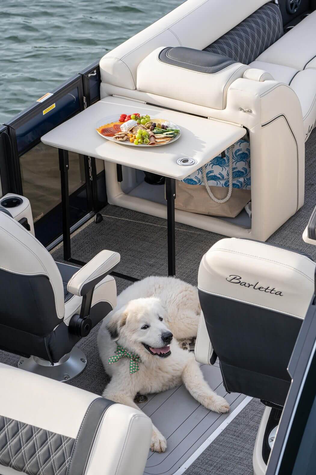 pet boat